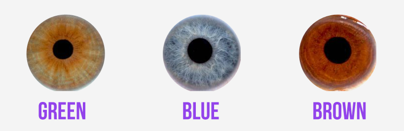 Behavioral Iridology – Discover the meaning behind your eyes